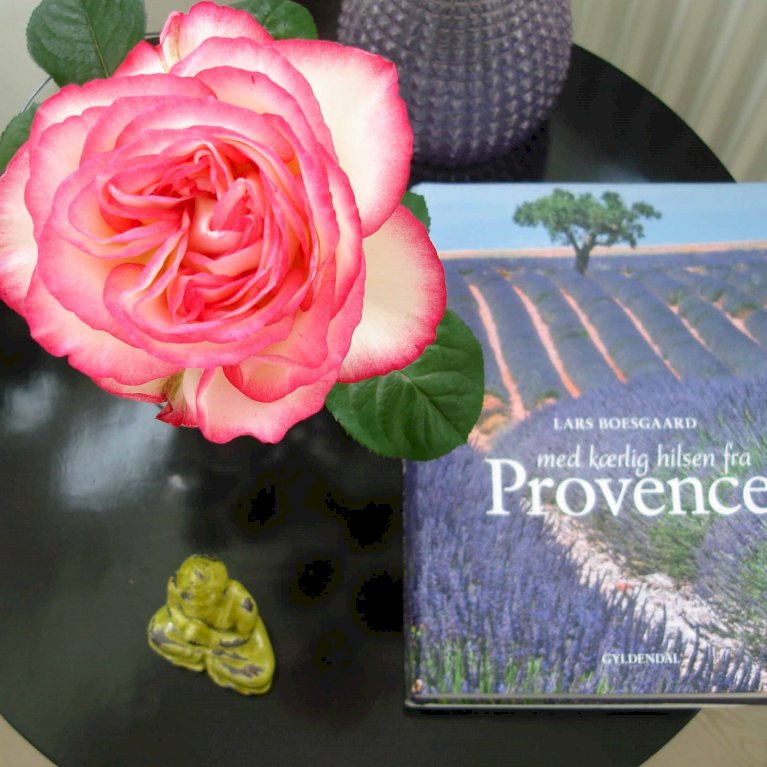 'Loves Me® Sweet'™ - Roser - Plantetorvet.dk